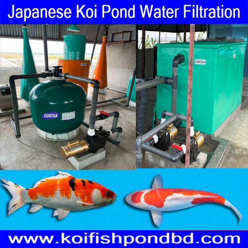 Japanese Koi Pond Filter System Caring For A Koi Pond In Winter