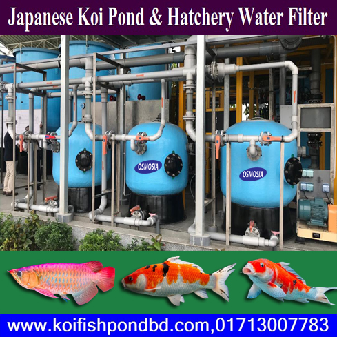 Japanese Koi Pond Filter System Caring For A Koi Pond In Winter